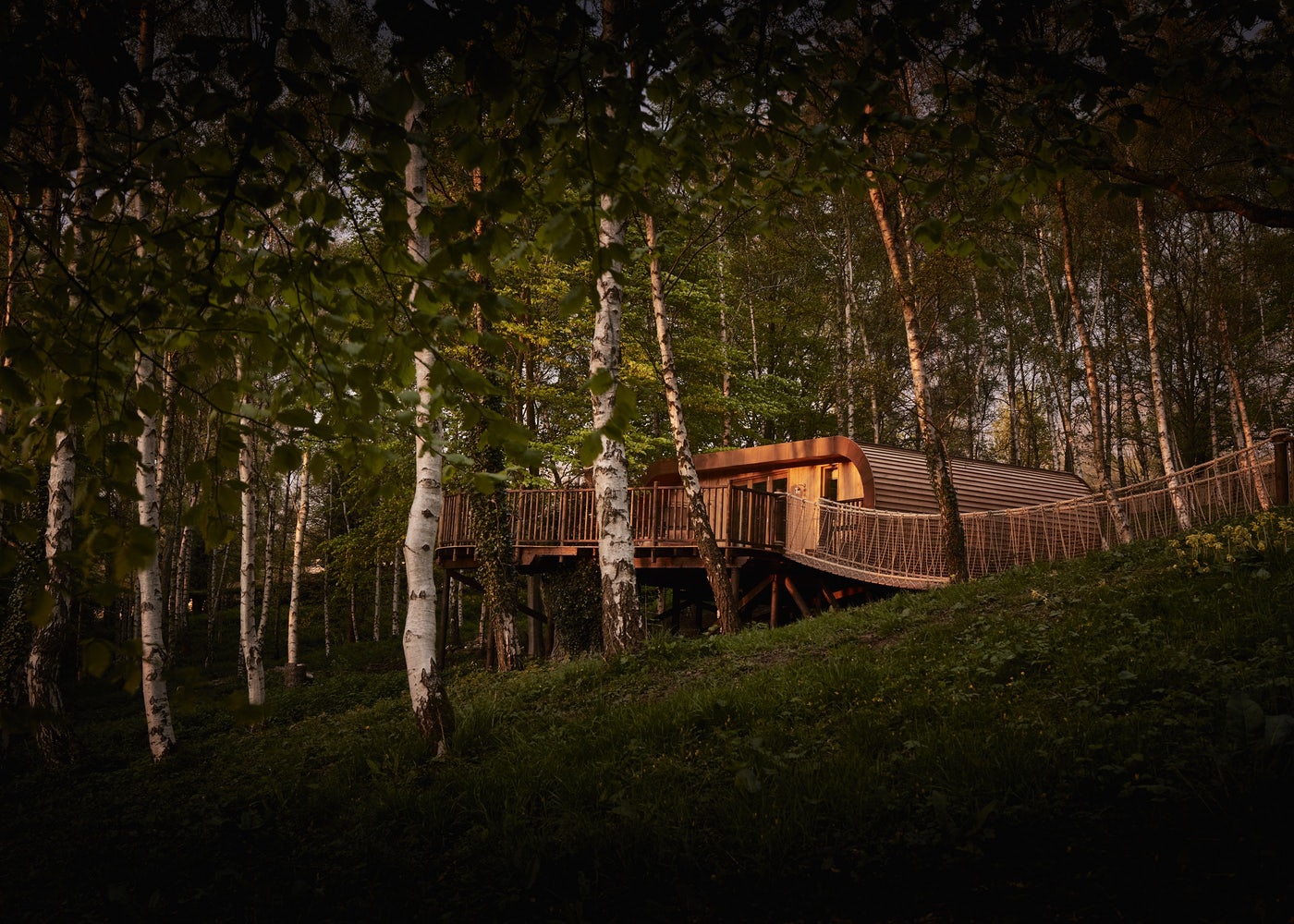 Treehouses | The Fish Hotel | Luxury Hotel in the Cotswolds